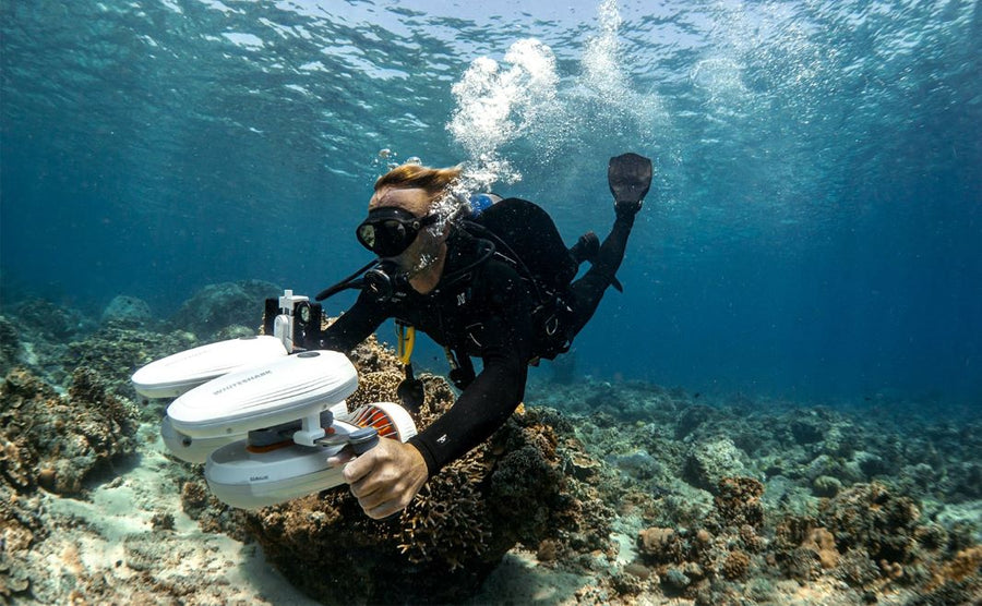 Scuba Diving 101: The Basic Diving Skills Every Diver Should Know ...
