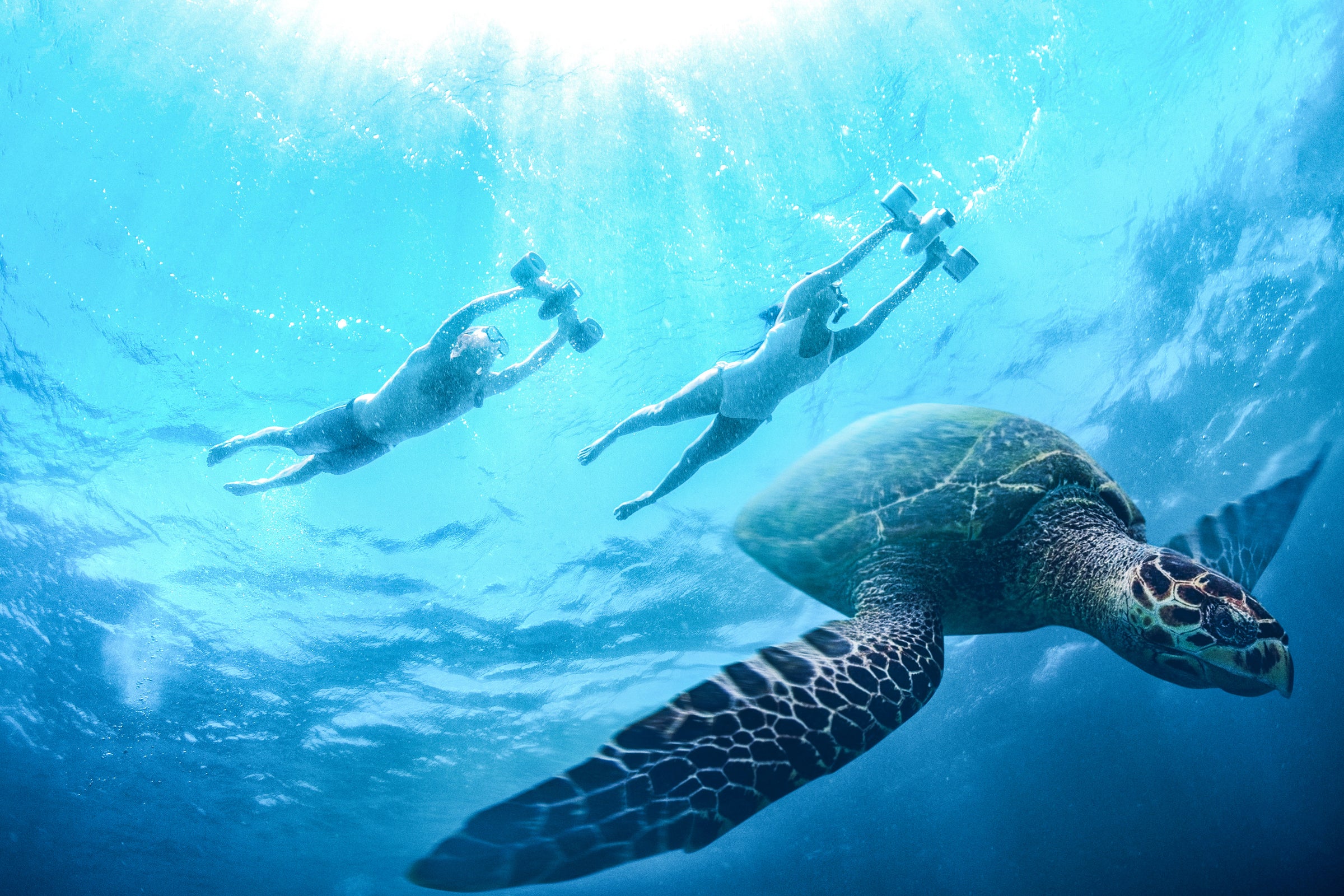 How Underwater Scooters Can Enhance Your Spearfishing Experience ...